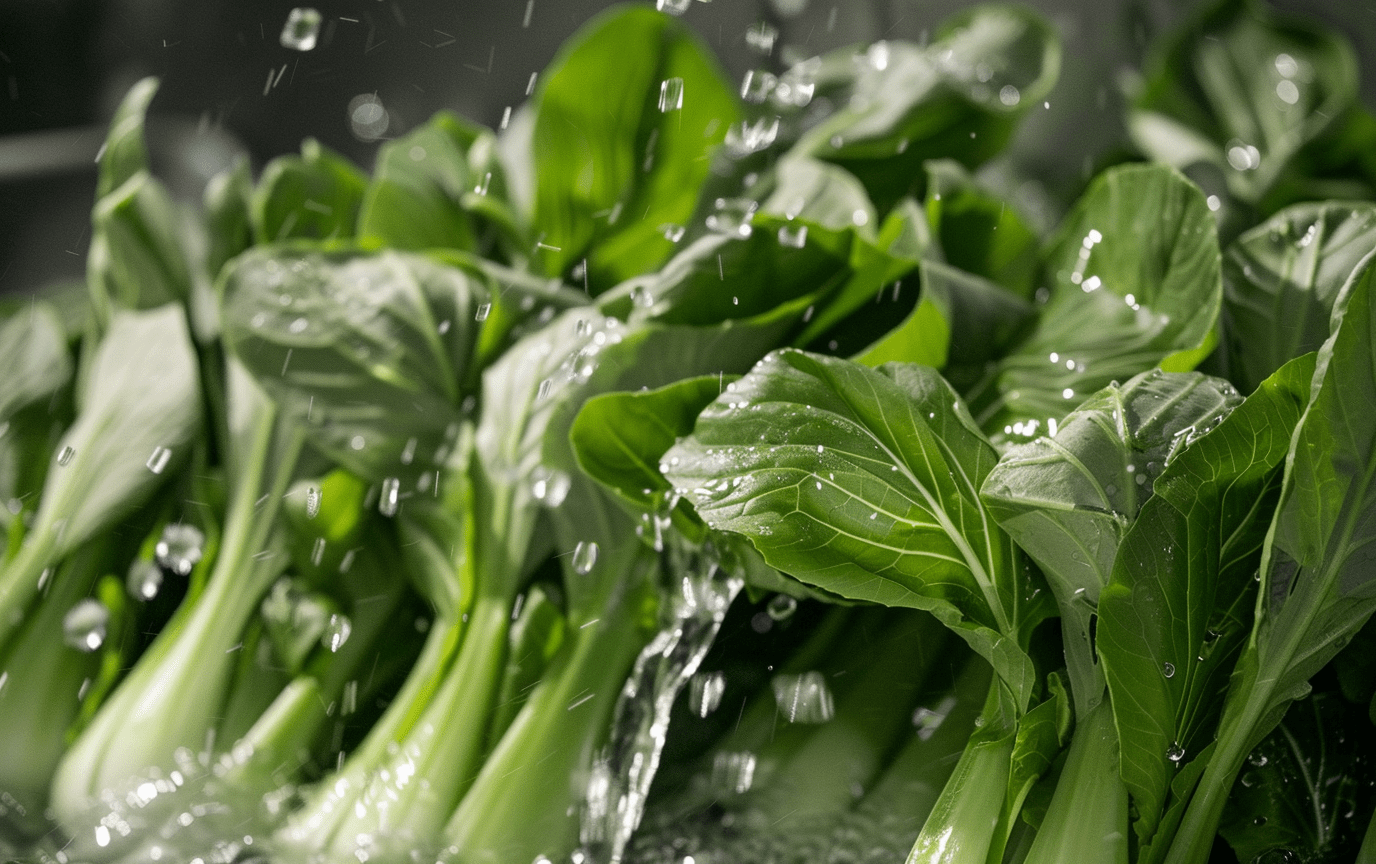 Quick Garlic Yu Choy - Light Orange Bean