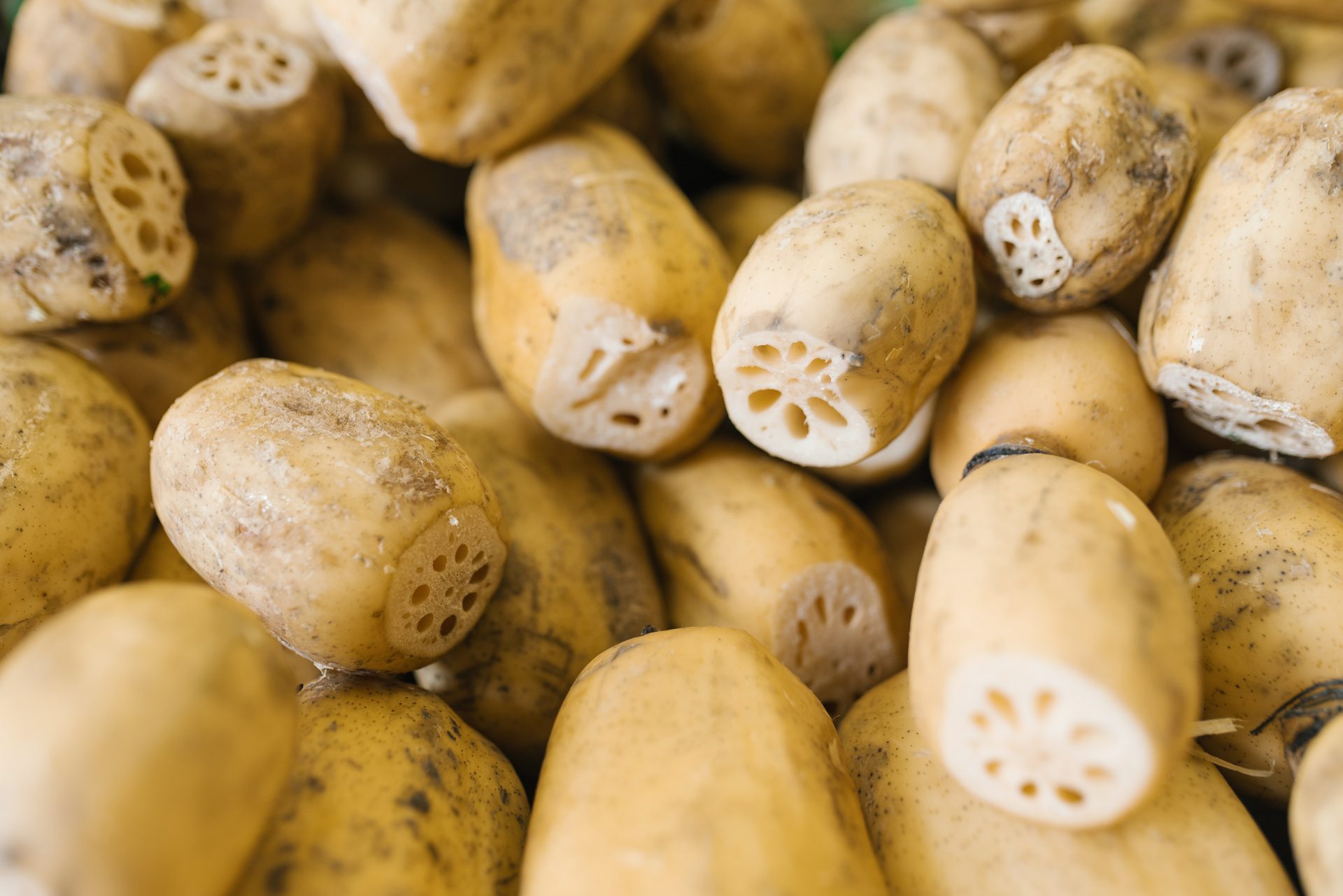 Unlock the Secret of Lotus Root for an Unforgettable Stir-Fry Crunch ...